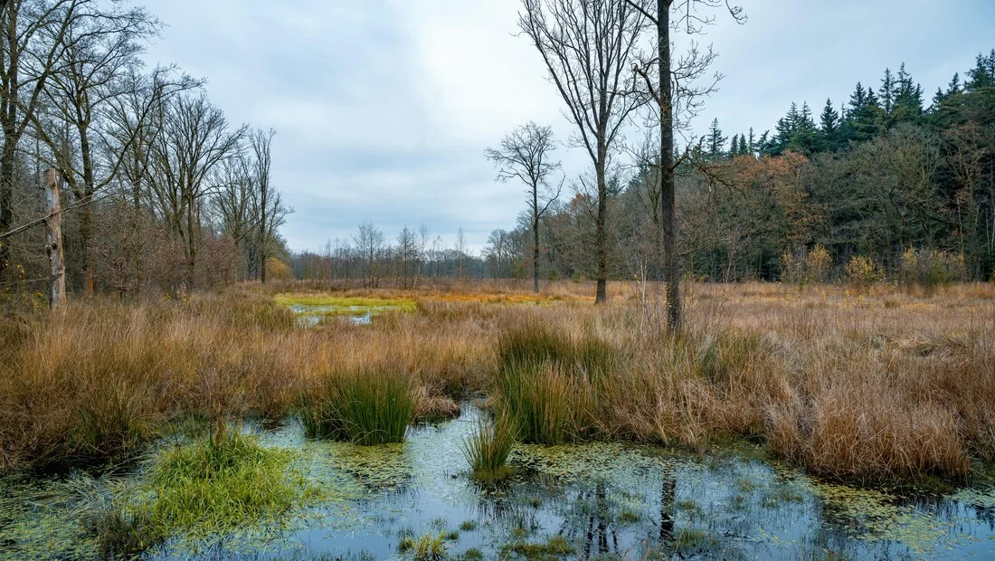 Samen werken aan een klimaatrobuust watersysteem: lessen van de Groote ...